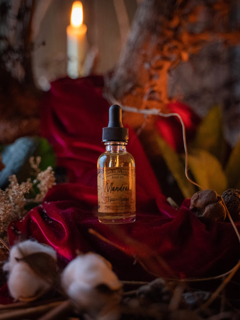 Mandragora "Mandrake" Root Oil – The Weaving of Understanding