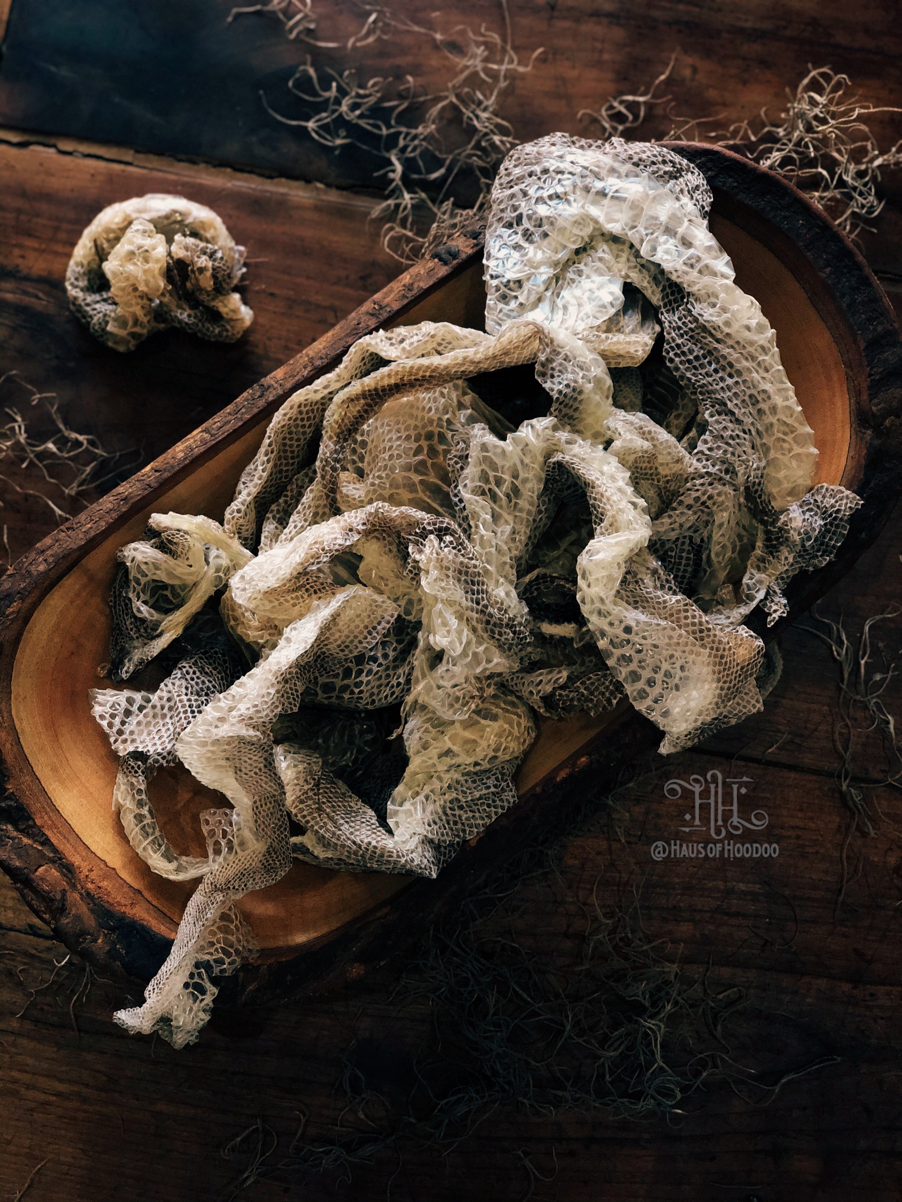 Snake Skin – The Weaving of Understanding